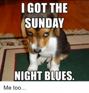 25 Memes About How We Feel On A Sunday Night - SayingImages.com