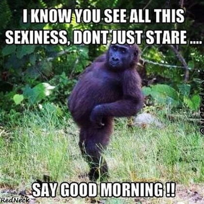 25 Funny Morning Memes That Are A Little Too Accurate - SayingImages.com