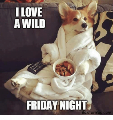 20 Friday Night Memes to End Your Hard Week on a High Note ...