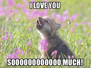 20 Very Sweet And Funny I Love You This Much Memes - SayingImages.com