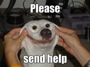 20 Help Memes That Get It Right - SayingImages.com