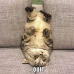 25 Funny Memes To Help You Quit In Style - SayingImages.com