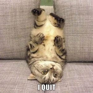 25 Funny Memes To Help You Quit In Style - SayingImages.com