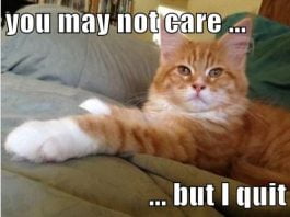 25 Funny Memes To Help You Quit In Style - SayingImages.com