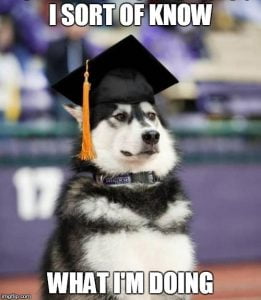 25 Witty Graduation Memes to Make You Feel Extra Proud - SayingImages.com