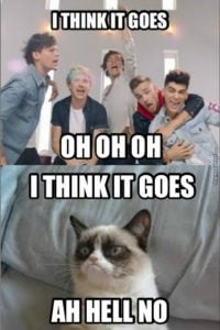 20 Really Hilarious Song Lyrics Memes to Make You Happy - SayingImages.com