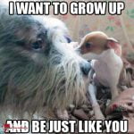 20 Funny Grow Up Memes That Are Trending Right Now - SayingImages.com