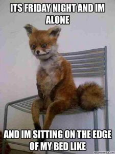 20 Friday Night Memes to End Your Hard Week on a High Note ...