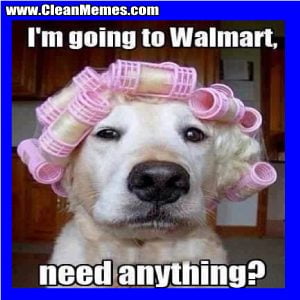 23 Funniest Walmart Memes You'll Ever See - SayingImages.com