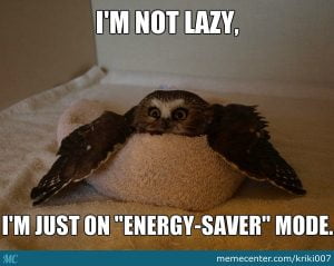 24 Lazy Memes to Make Your Day So Much Better - SayingImages.com