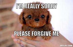 40 Adorable I'm Sorry Memes People Won't Be Able To Resist ...