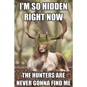 The 20 Best Deer Hunting Memes (So Far) - SayingImages.com