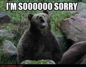 40 Adorable I'm Sorry Memes People Won't Be Able To Resist ...
