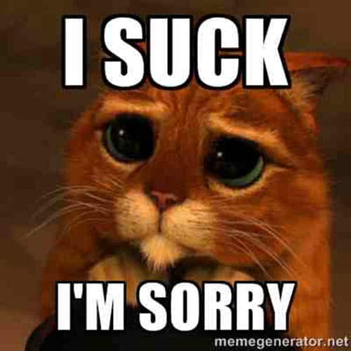 40 Adorable I m Sorry Memes People Won t Be Able To Resist