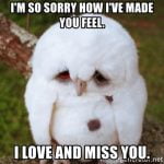 40 Adorable I'm Sorry Memes People Won't Be Able To Resist ...