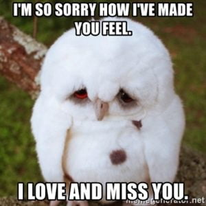 40 Adorable I'm Sorry Memes People Won't Be Able To Resist ...