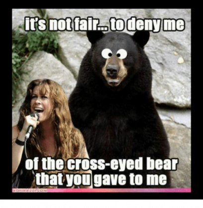20 Really Hilarious Song Lyrics Memes to Make You Happy - SayingImages.com