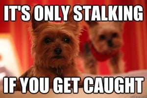 20 Stalking Memes That Will Not Creep You Out - SayingImages.com