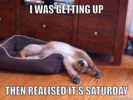 30 Saturday Memes To Make Your Weekend More Fun - SayingImages.com