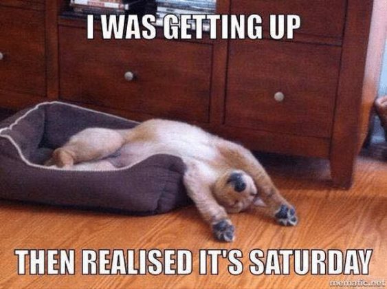 30 Saturday Memes To Make Your Weekend More Fun - SayingImages.com
