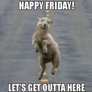 75 Happy Friday Memes That'll Make Your Weekend A Lot Better ...