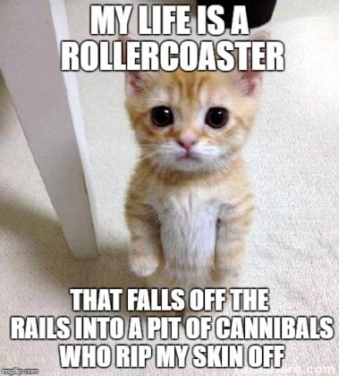 30 Hilarious Life Memes to Complete Your Day - SayingImages.com