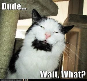 20 Wait What Memes For When You Ran Out of Words to Say - SayingImages.com