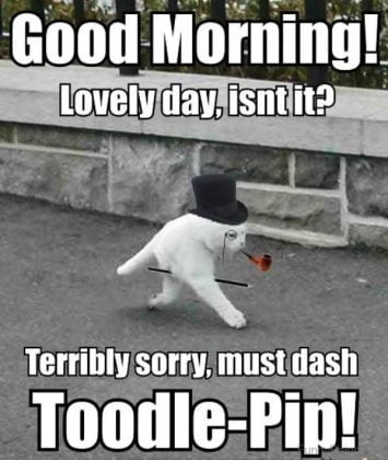 80 Good Morning Memes To Kickstart Your Day - SayingImages.com