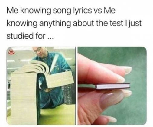 20 Really Hilarious Song Lyrics Memes to Make You Happy - SayingImages.com