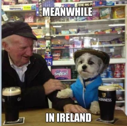 20 Best Irish Memes You'll Totally Find Funny - SayingImages.com