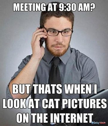 35 Funny Work Memes You'll Totally Understand - SayingImages.com