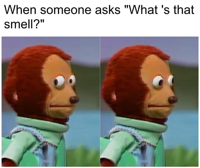 20 Awkward Look Monkey Puppet Memes For Those Uncomfortable Moments 