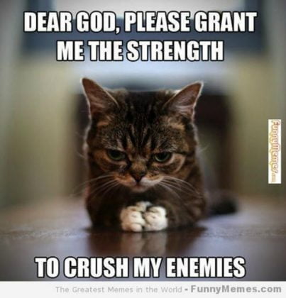 30 Great Motivational Memes To Inspire You - SayingImages.com