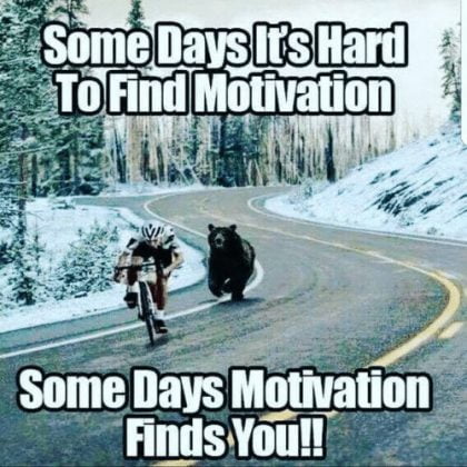 30 Great Motivational Memes To Inspire You - SayingImages.com
