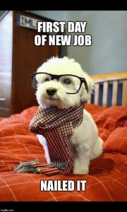 30 Awesome New Job Memes to Make You Feel Proud - SayingImages.com