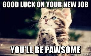 30 Awesome New Job Memes to Make You Feel Proud - SayingImages.com