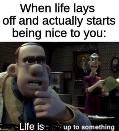 30 Hilarious Life Memes to Complete Your Day - SayingImages.com