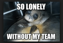 30 Lonely Memes to Make You Feel Less Alone - SayingImages.com