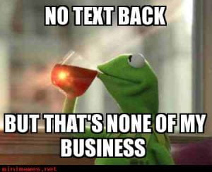 20 Relatable No Text Back Memes to Make You Feel a Lot Better ...