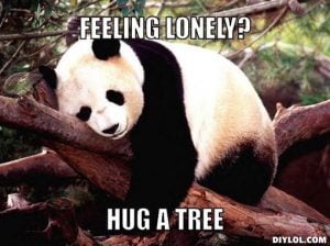 30 Lonely Memes to Make You Feel Less Alone - SayingImages.com