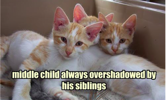 15 Hilarious Middle Child Memes That Feel So Familiar - SayingImages.com