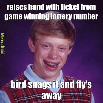 20 Celebration Memes That Are Simply The Best - SayingImages.com