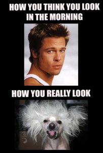 36 Really Funny Memes To Cheer You Up - SayingImages.com