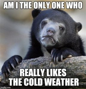 20 Cold Weather Memes That Perfectly Sum Up All The Winter Feels ...