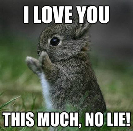 35 Best Romantic Memes For Your Loved One - SayingImages.com