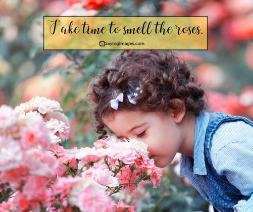 35 Amazing Roses Quotes That Celebrate Life's Beauty - SayingImages.com