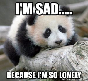 30 Lonely Memes That Will Make You Feel Less Alone - SayingImages.com