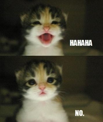 20 Funny Memes On How To Say No - SayingImages.com