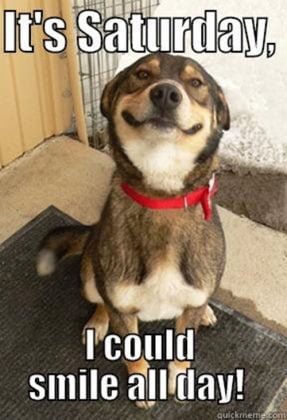 30 Saturday Memes To Make Your Weekend More Fun - SayingImages.com