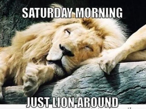 30 Saturday Memes To Make Your Weekend More Fun - SayingImages.com